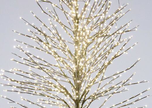 Interiors | (7ft) Black Micro Dot with 1300 Warm White Lights ...